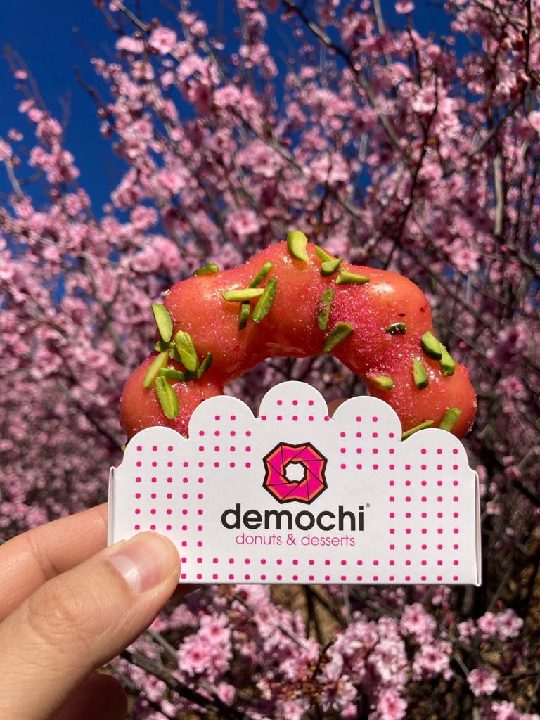Assorted Mixed Demochi Donut 6 Pack – Demochidonut